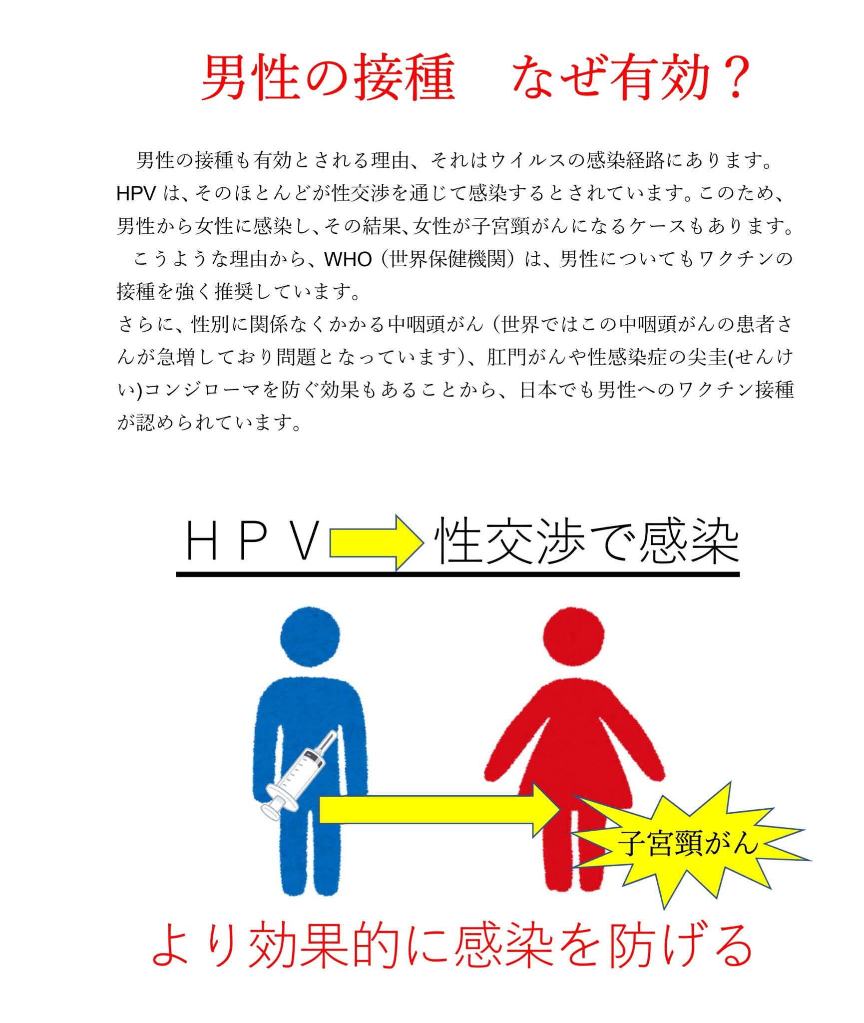 10 月1 日より世田谷区でも男性へのHPVワクチン（子宮頸がん予防）接種助成事業導入が開始されます。 | 世田谷区医師会